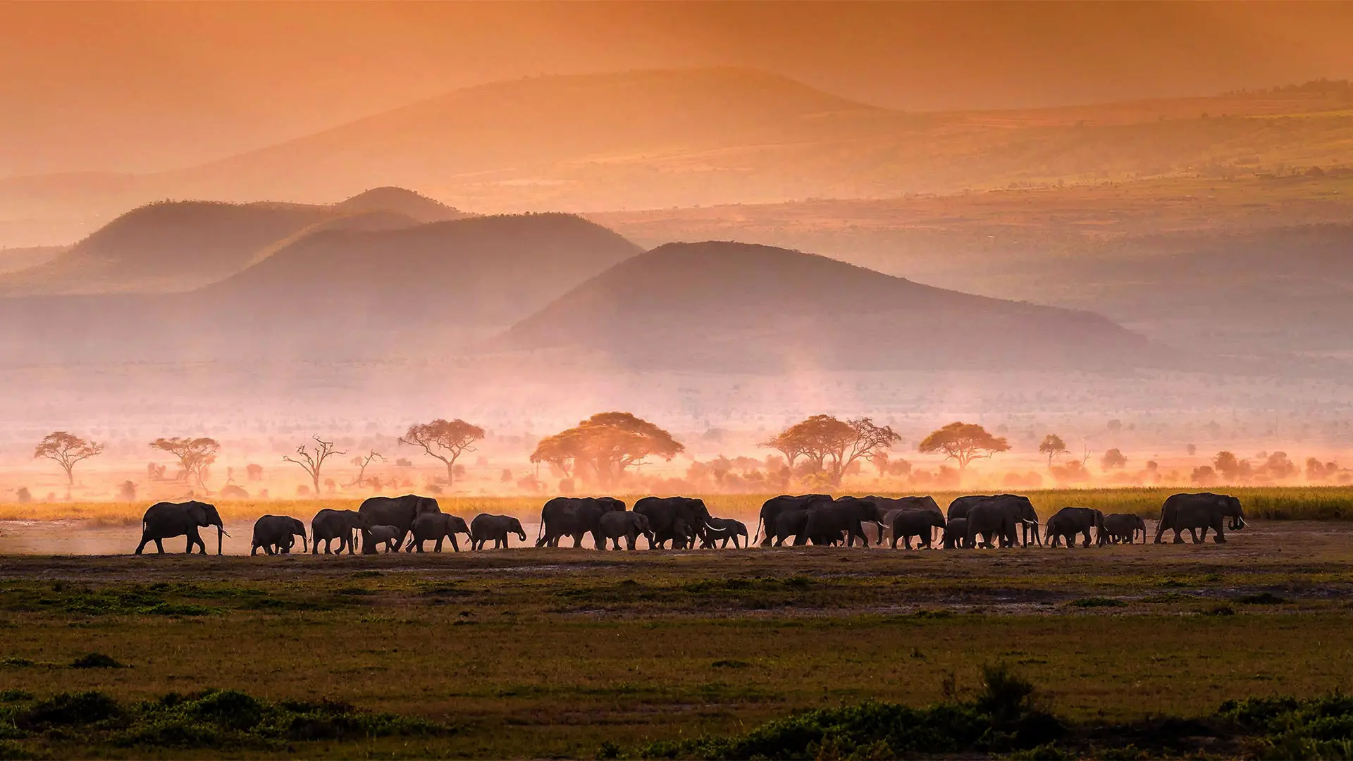 Oferte Speciale Eturia