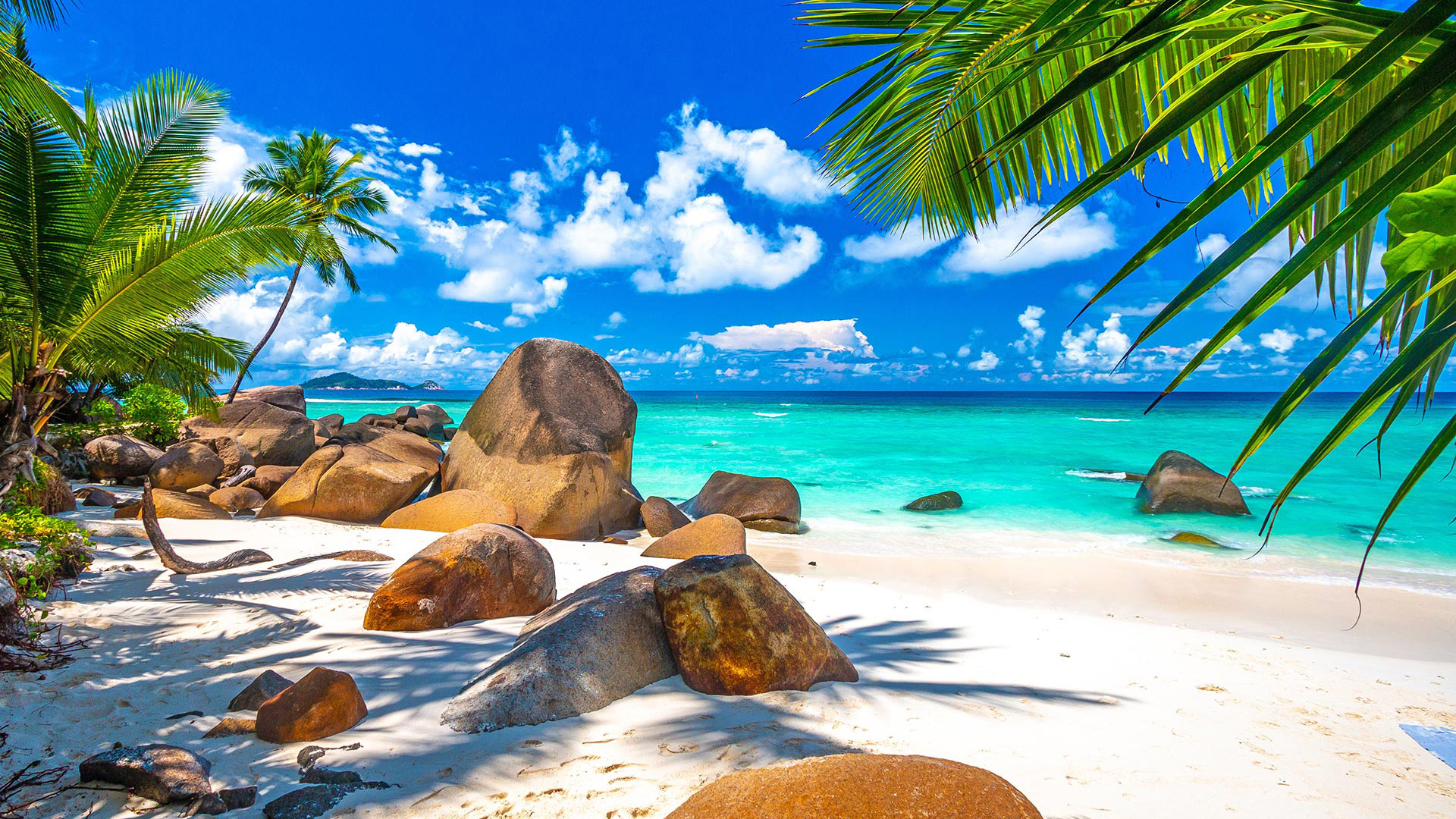 Charter Seychelles | Eturia